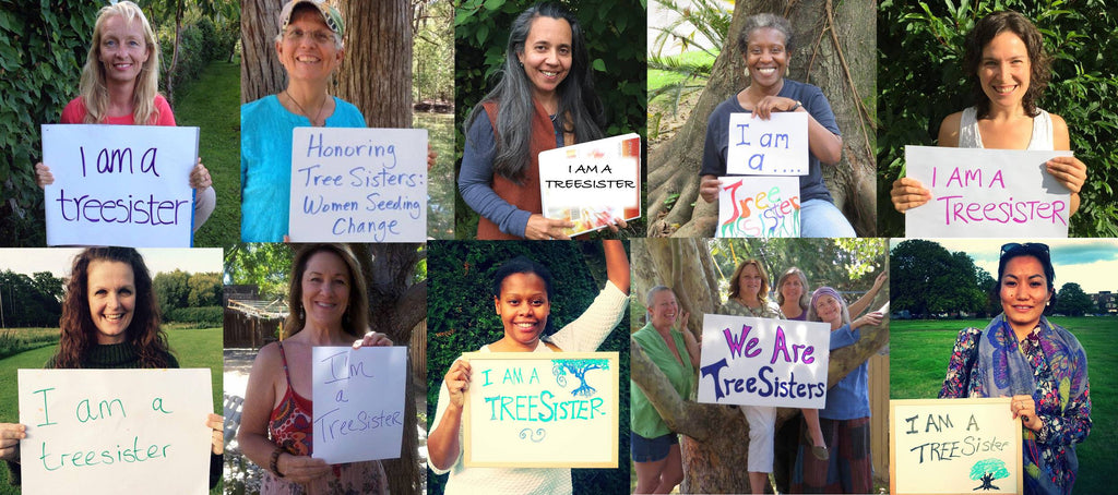 TreeSisters – James Ellis